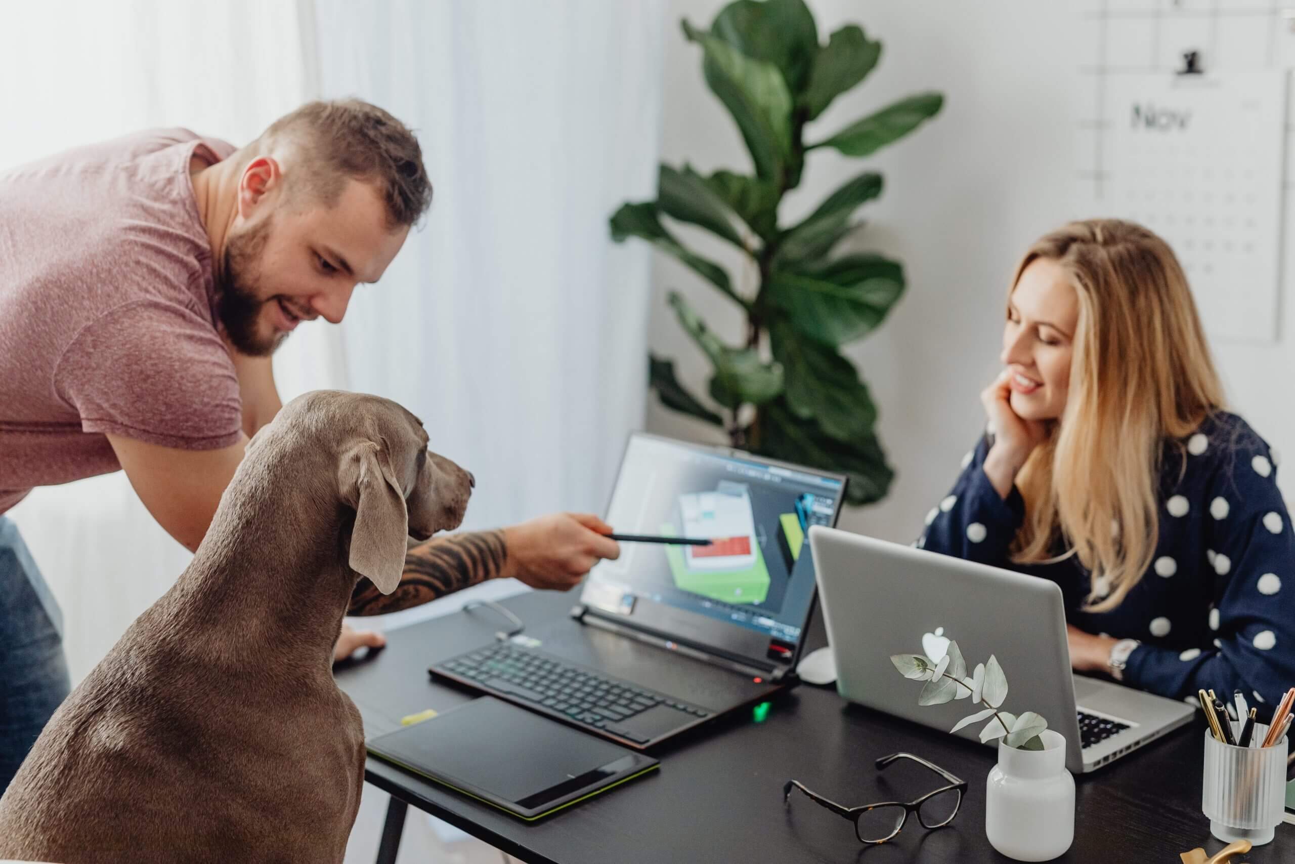How Much Does It Cost To Spay Or Neuter A Dog 2022 Price Guide How Much Does It Cost To Spay Or Neuter A Dog 2022 Price Guide